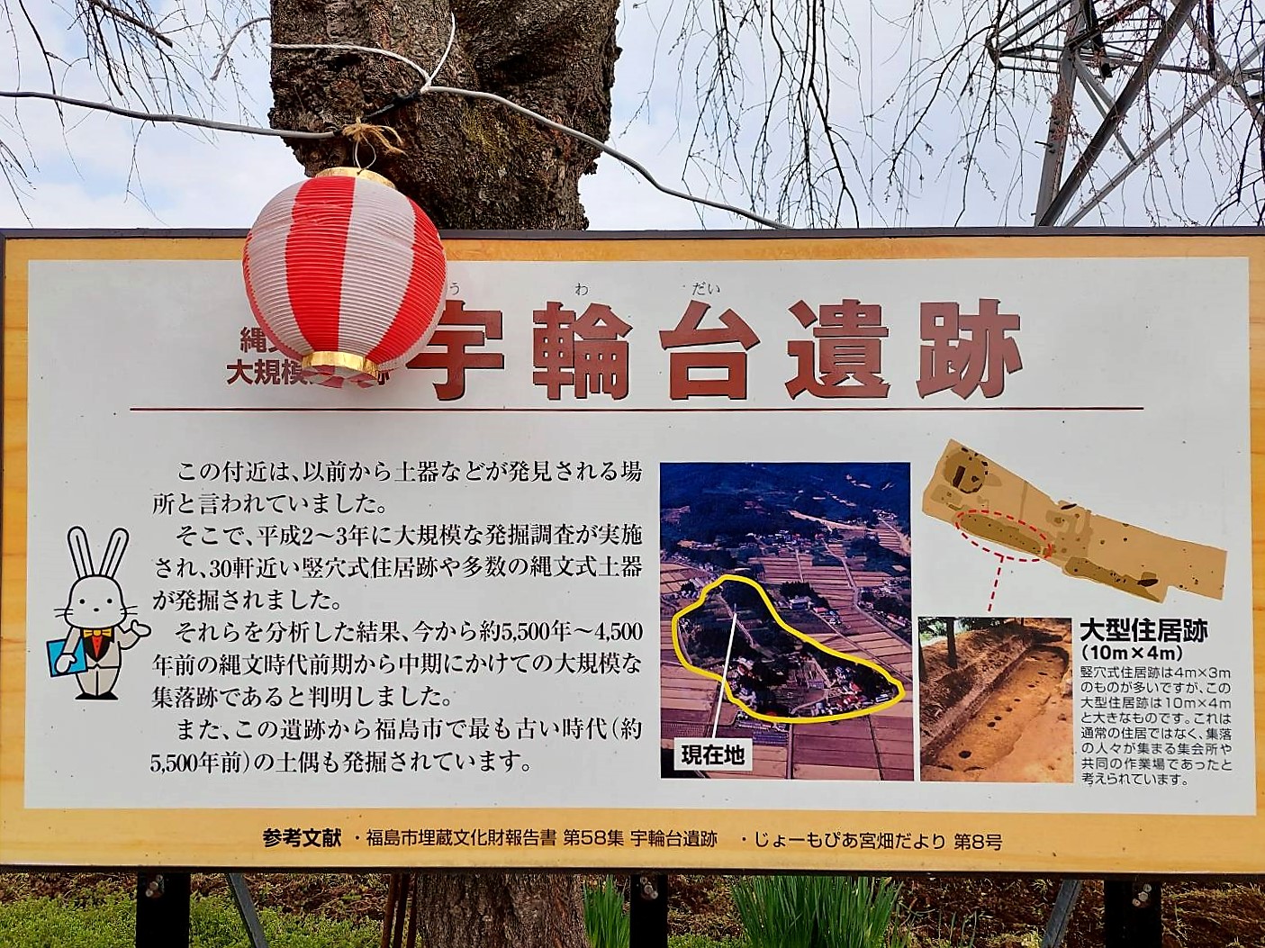 41180（メディア） | 福島市観光ノート